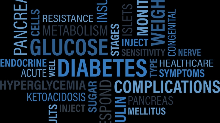 Hungary Pledges Further Aid to Diabetics - XpatLoop.com