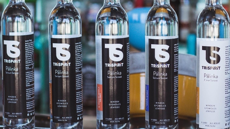 The New Generation Of Hungary's National Spirit? Let's Meet TRiSPiRiT ...