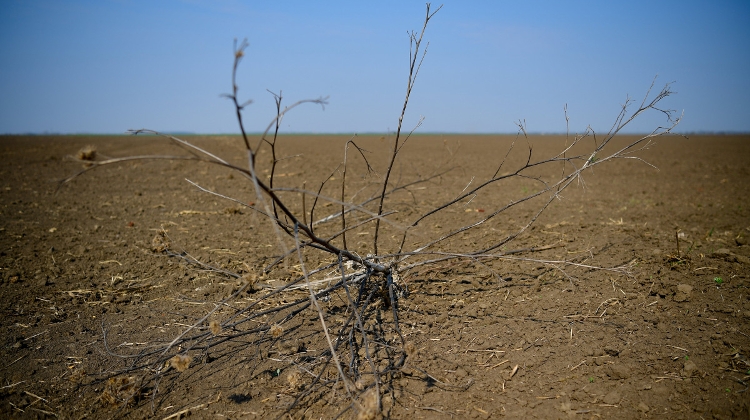 Great Plain May Completely Dry Out in Hungary, Warn ELTE Uni ...