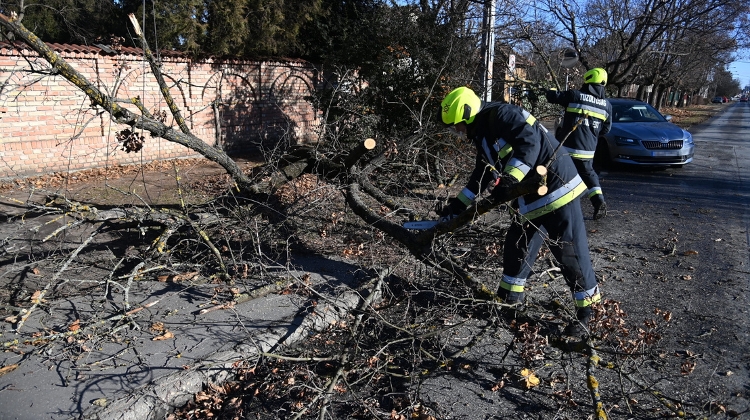 Gale-Force Winds Cause Damage Across Hungary, Reports National Disaster ...