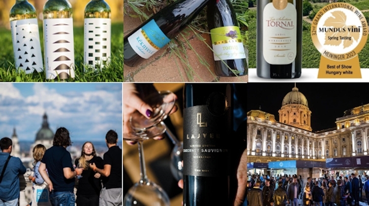 7 Top Tips for Budapest Wine Festival - XpatLoop.com