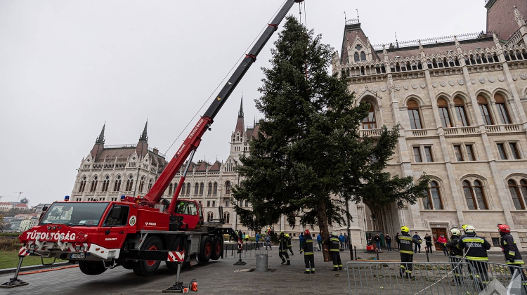 Watch: Hungary's National Christmas Tree Put Up in Budapest - XpatLoop.com