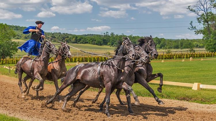 Top 5 Equestrian Parks In Hungary - XpatLoop.com